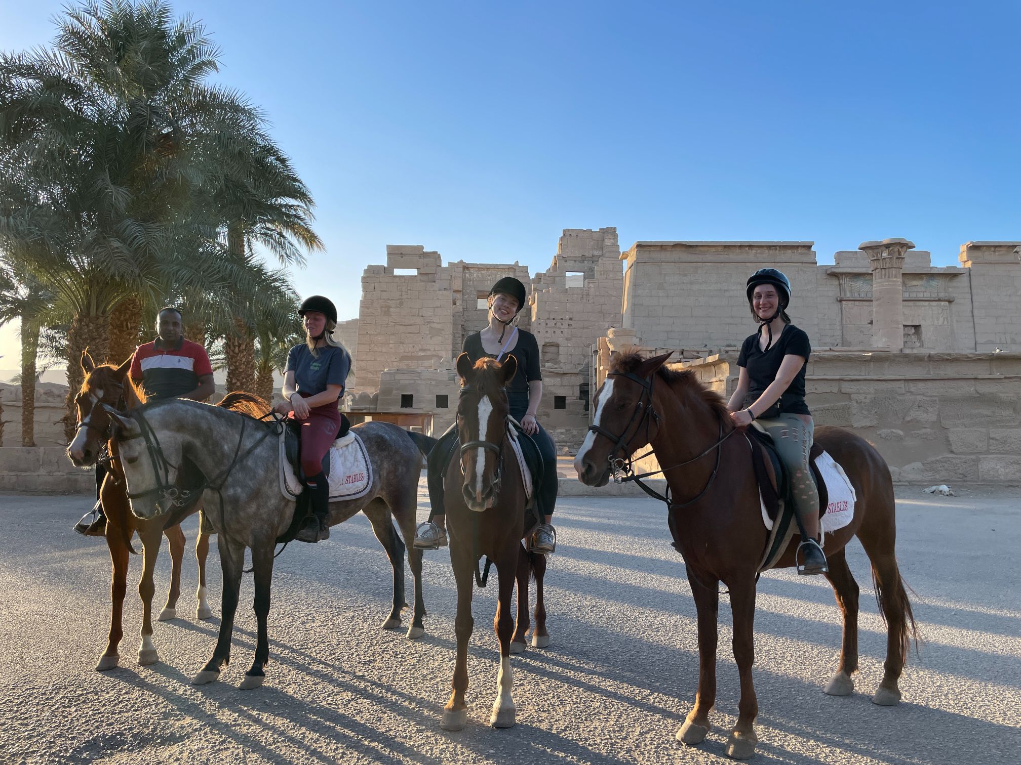 Book your horseriding trip