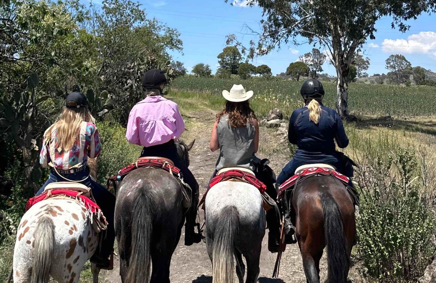 Equestrian meet-up at Rancho Las Cascadas in Mexico 2023 | Hooves ...