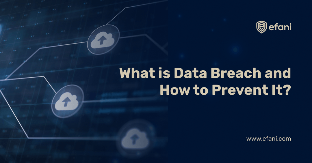 What Is A Data Breach? How to Detect, Prevent, and Respond Data Breach?