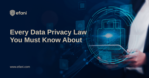 Every Data Privacy Law (GDPR, HIPAA, COPPA) You Must Know About