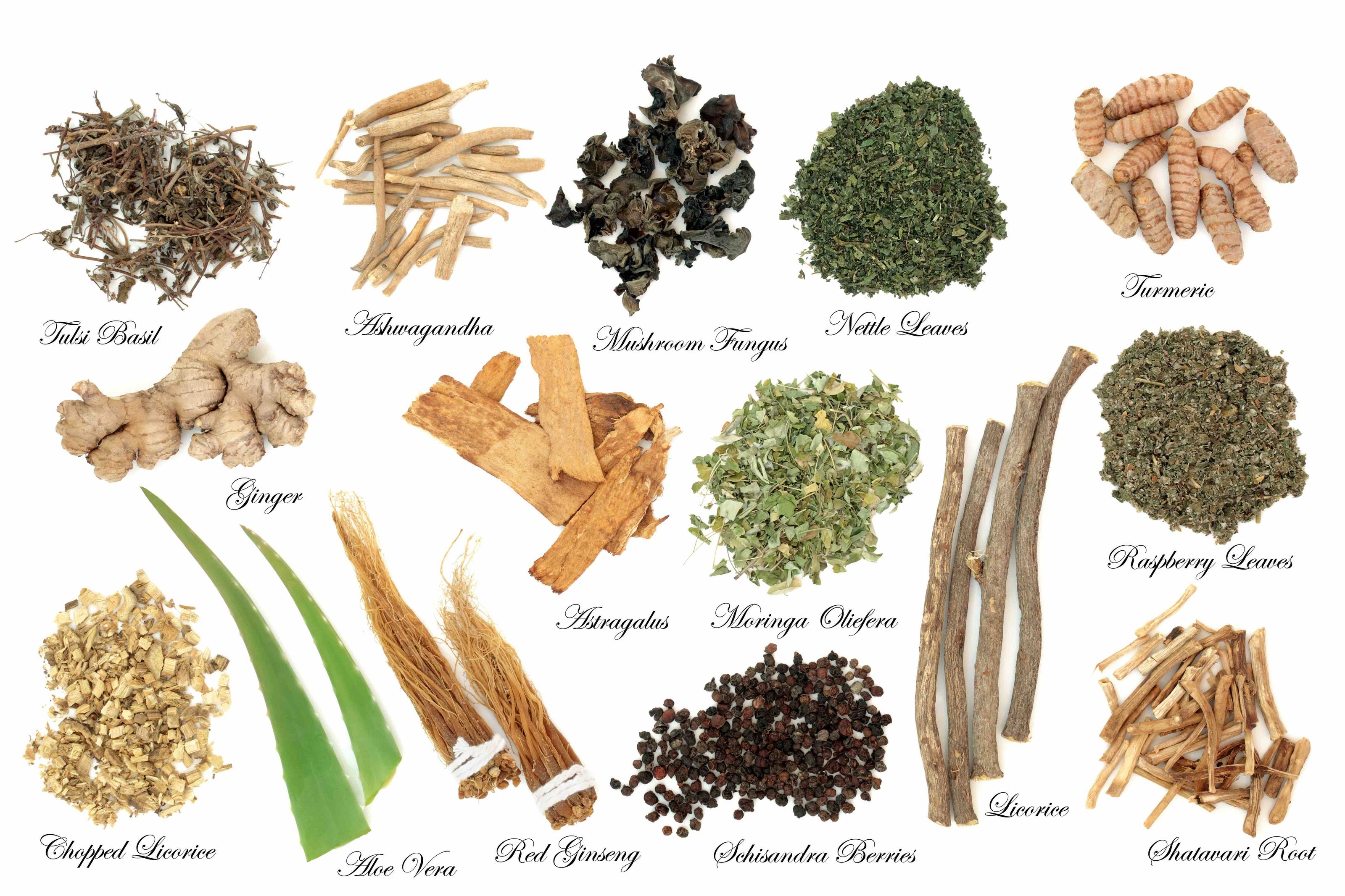 Discover the Ingredient: Adaptogens - RNA Blog