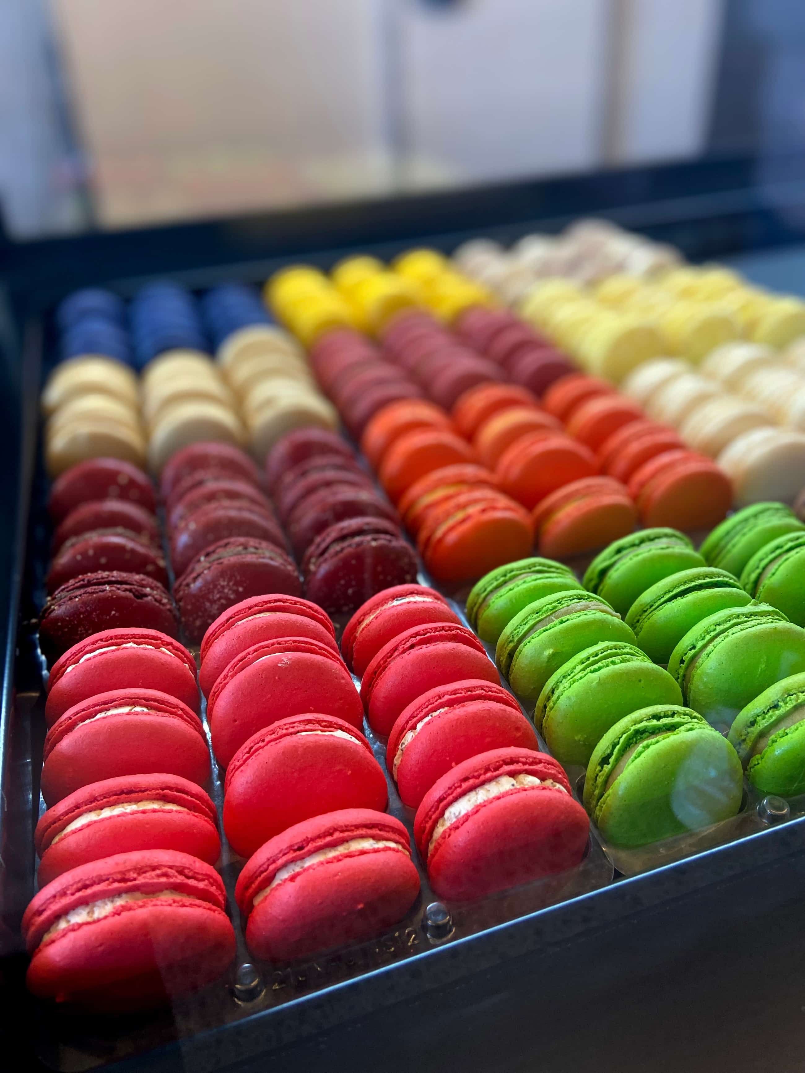 Ponsonby Central - MIANN