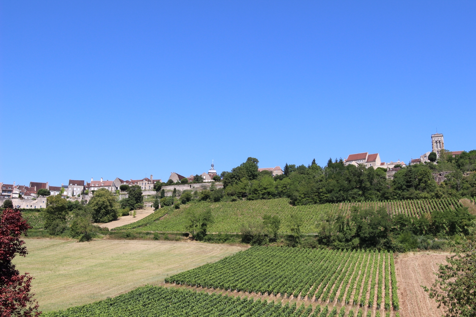 French Wine Tours By Grapes & Corks