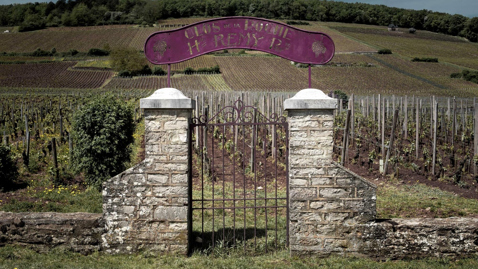 Burgundy - Discover Burgundy, France and its wines