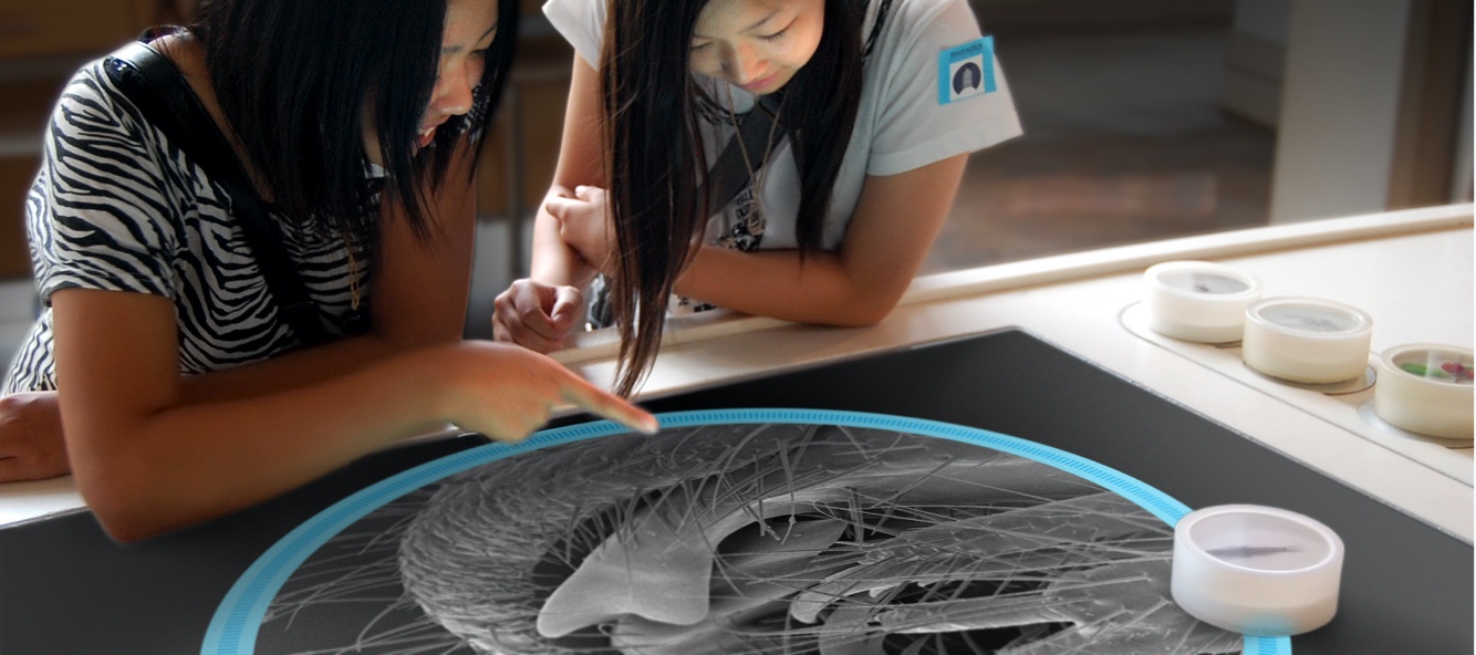 The Conservation Lab | Project by Graham Plumb