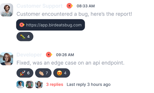 Fast & Effective Bug Reporting Tool | Bird Eats Bug