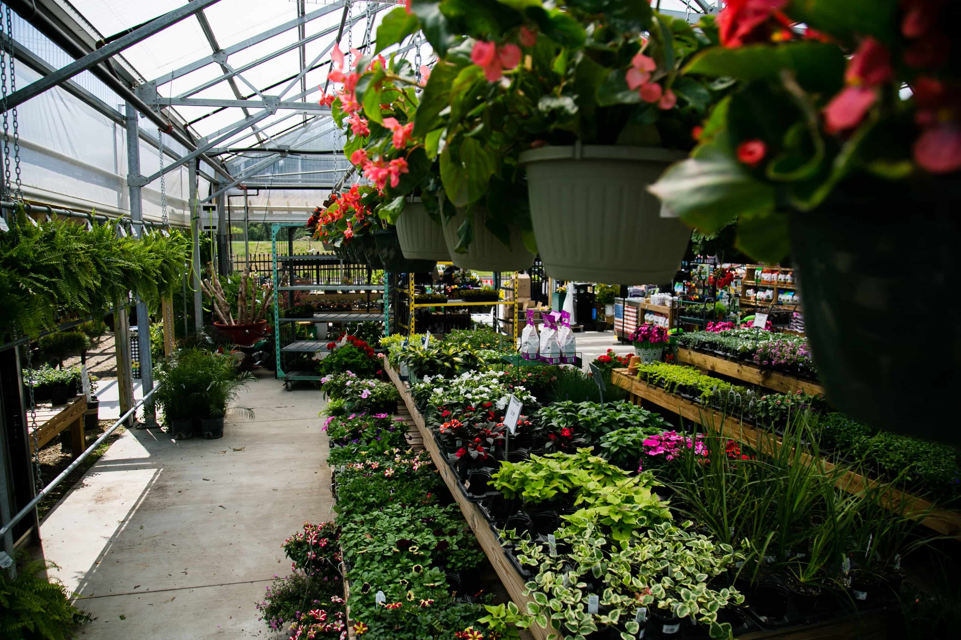 Garden Center
