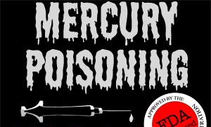 Dangers of Mercury- from humans to environment | Health Disruptors ...