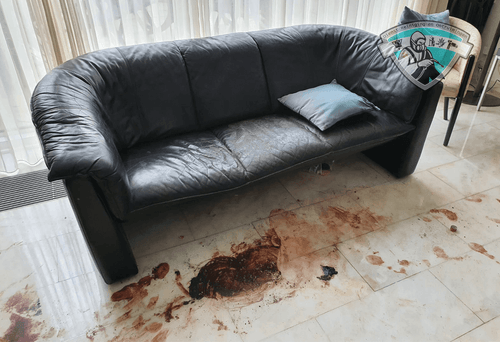 DREO.nl | Specialistische & Trauma reiniging | 24/7 Bereikbaar 0854011678