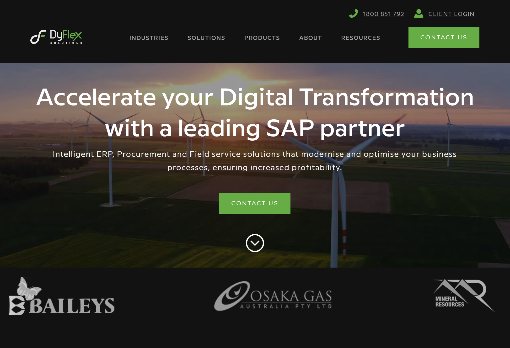 DyFlex Solutions | SAP Gold Partner
