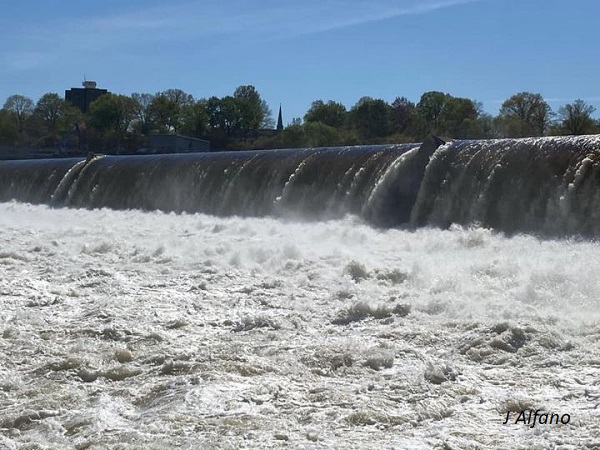 South Hadley Falls below the dam | Upcoming Field Trip with Allen Bird Club