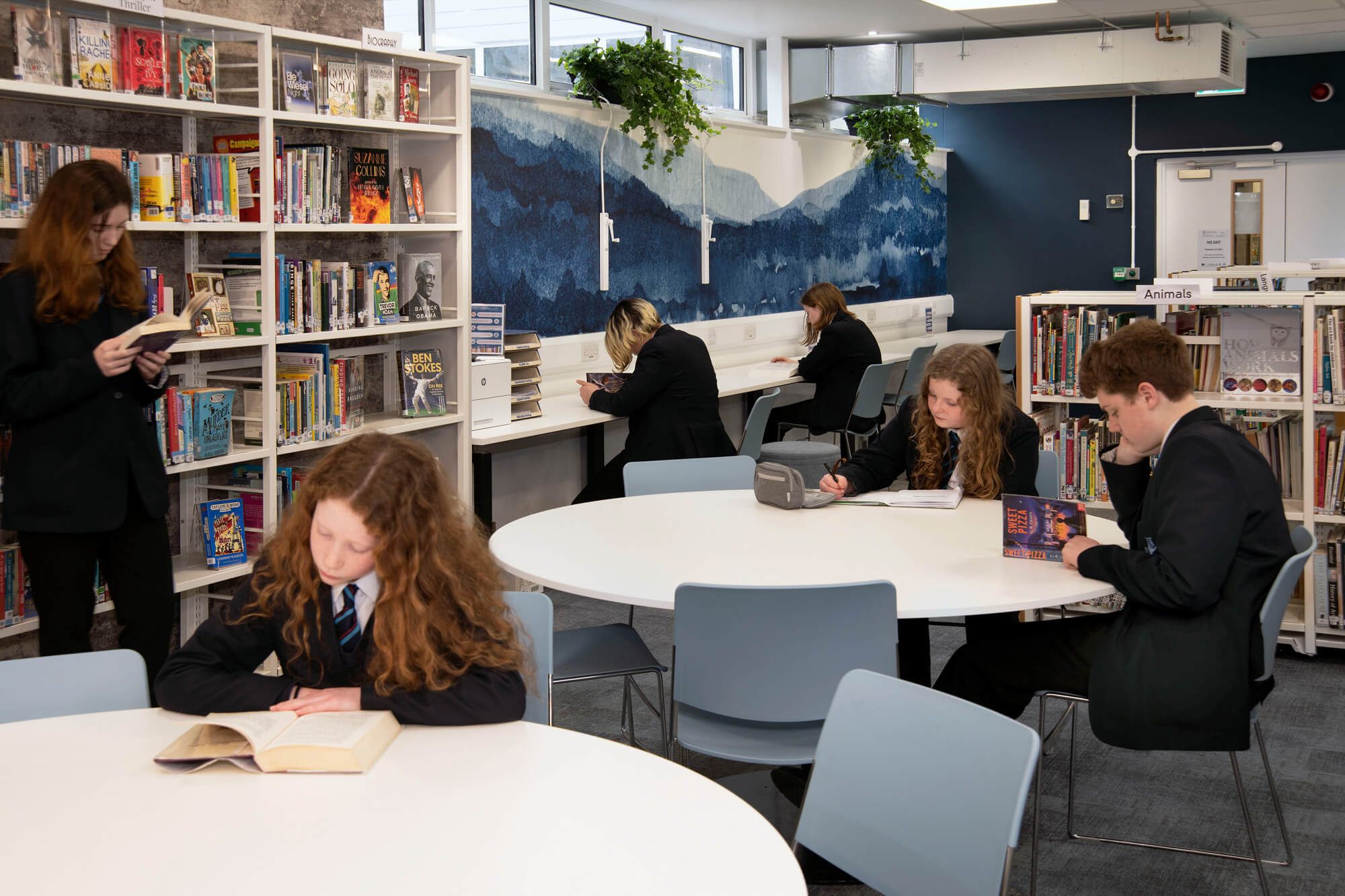 Burford School Library | Roberts Limbrick