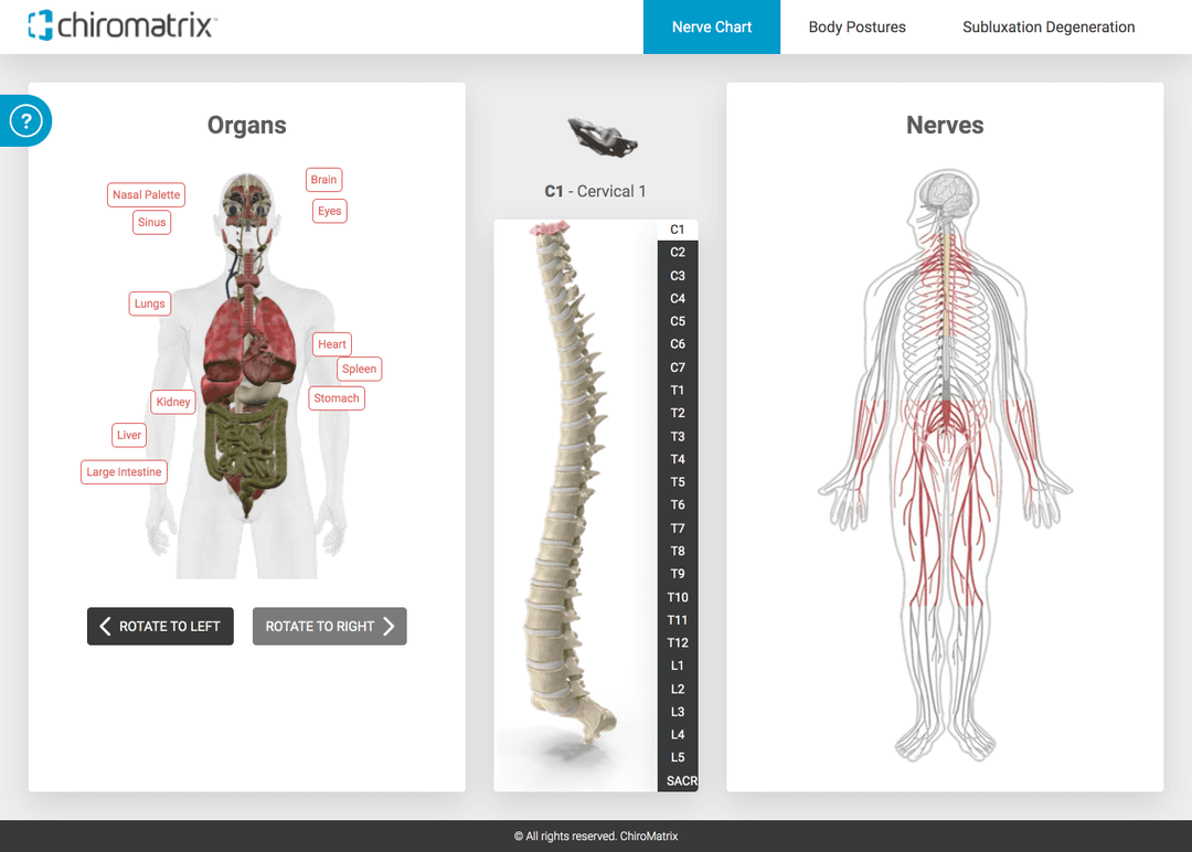 Health Within | Physiotherapy | Chiropractic | Cornwall ON.