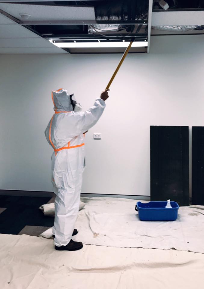 Mould Cleaning Mackay