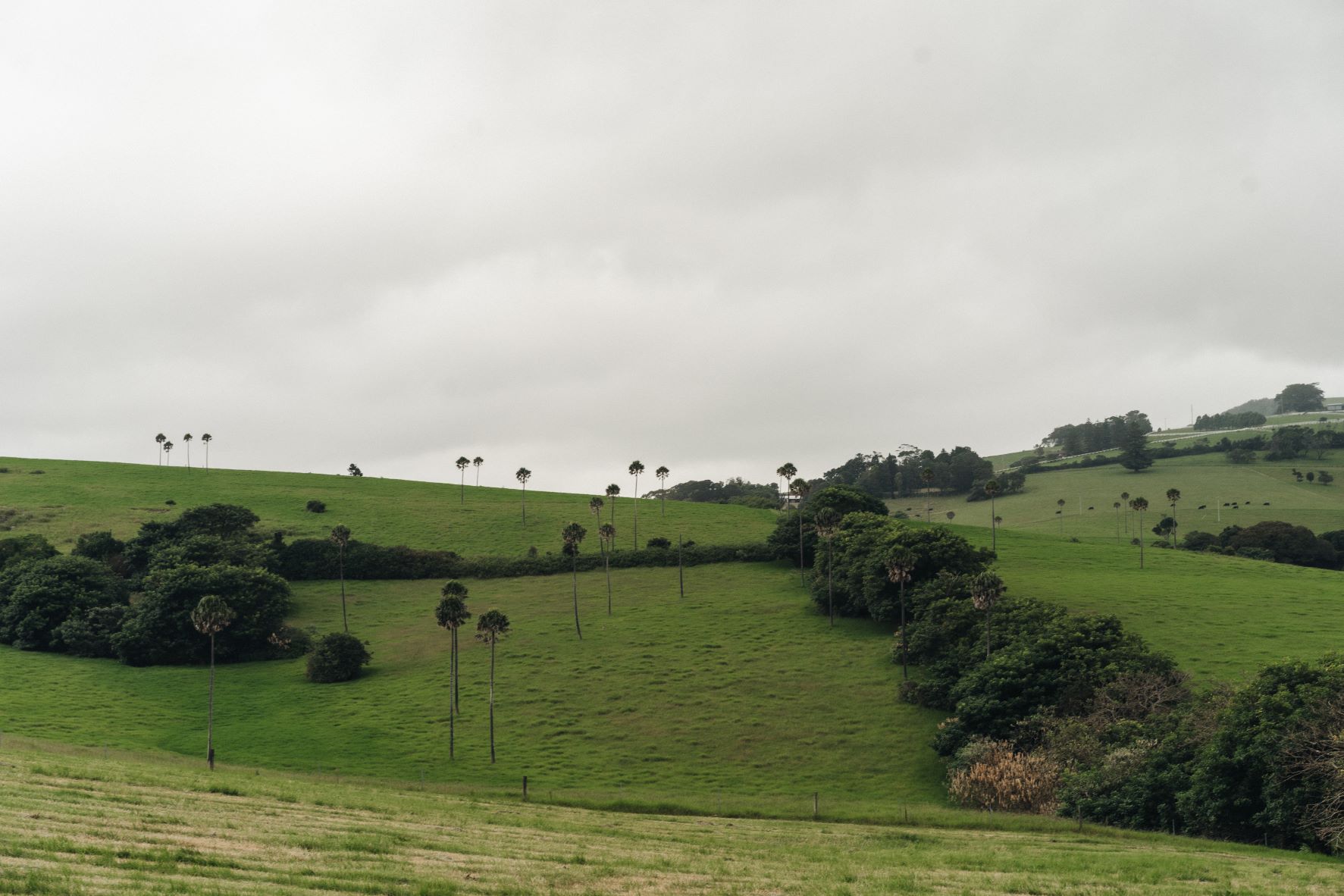 About Historic Beautiful Greyleigh | Greyleigh