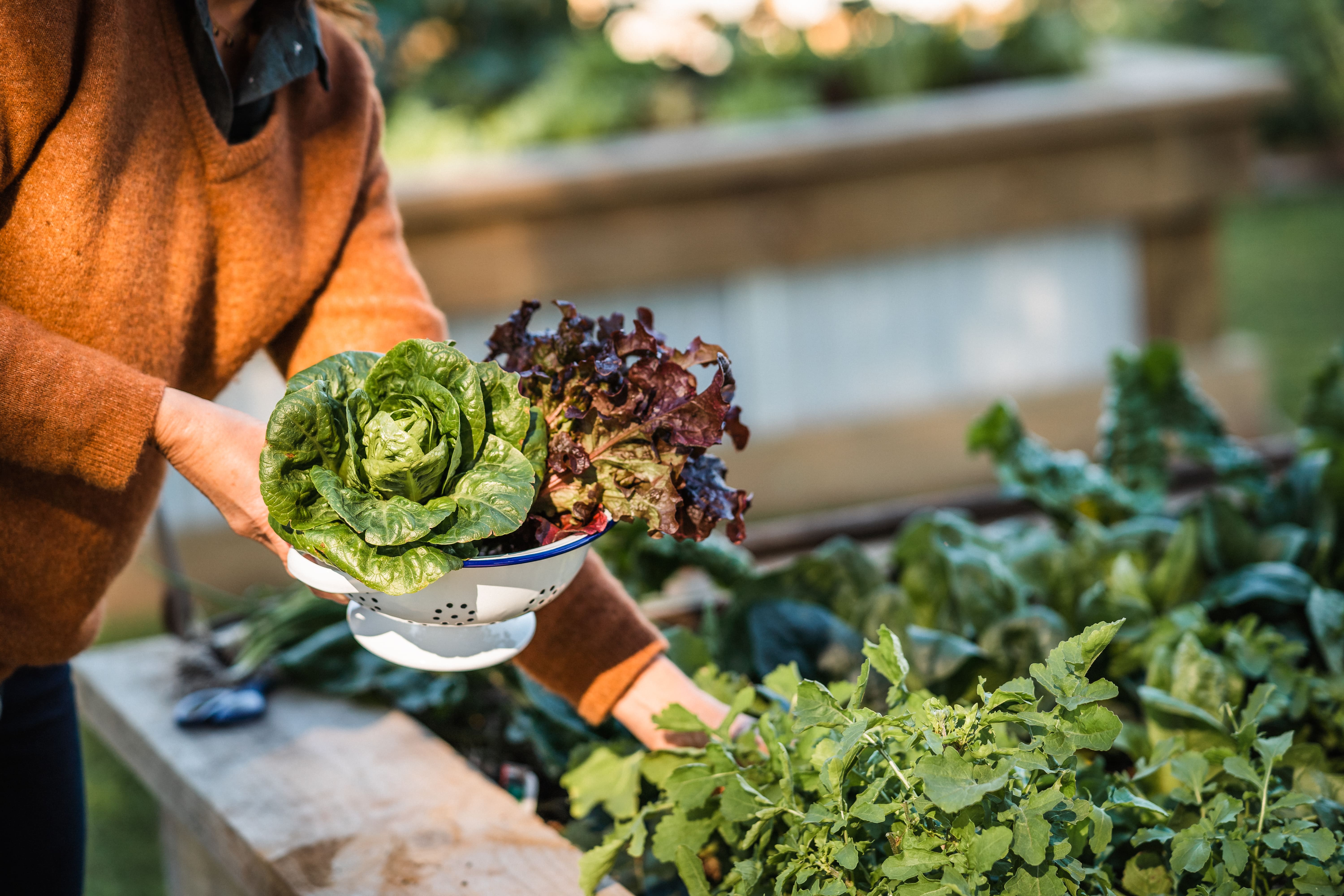 Farm Stay In The South Coast | Greyleigh