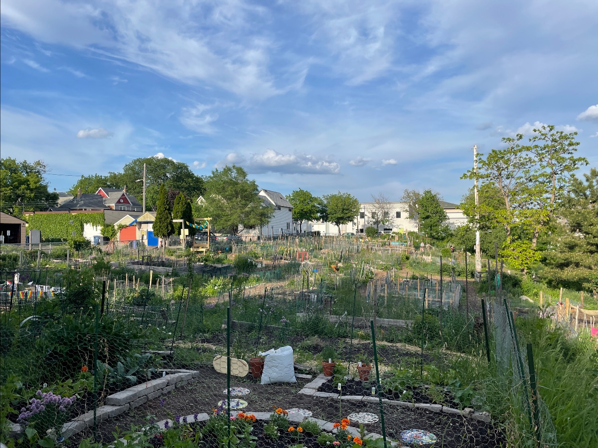 Lots Of Music In Parks Tonight Park Board Plan For Police And Trees Pizza Trivia lots-of-music-in-parks-tonight-park-board-plan-for-police-and-trees-pizza-trivia