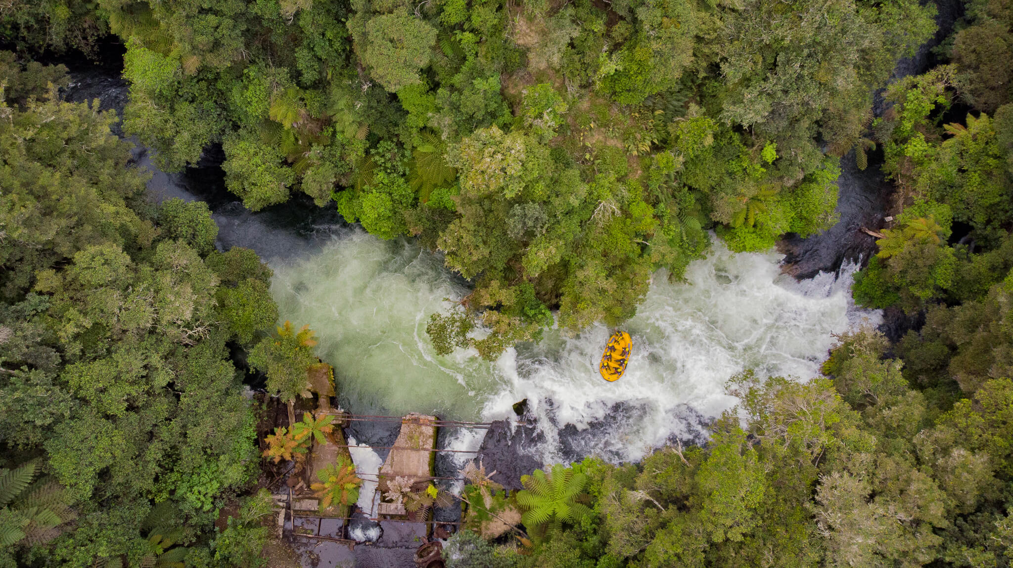 Rotorua Rafting | Best White Water Rafting In Rotorua