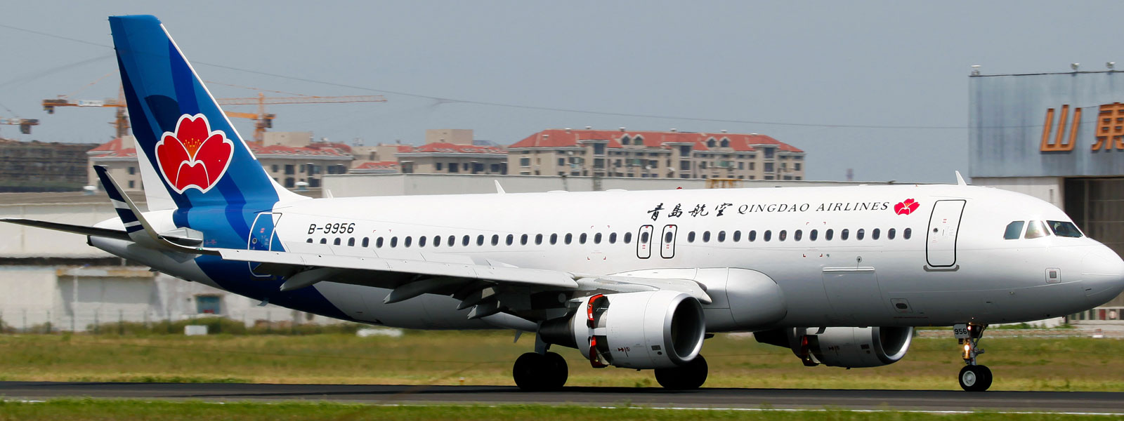 WASINC International