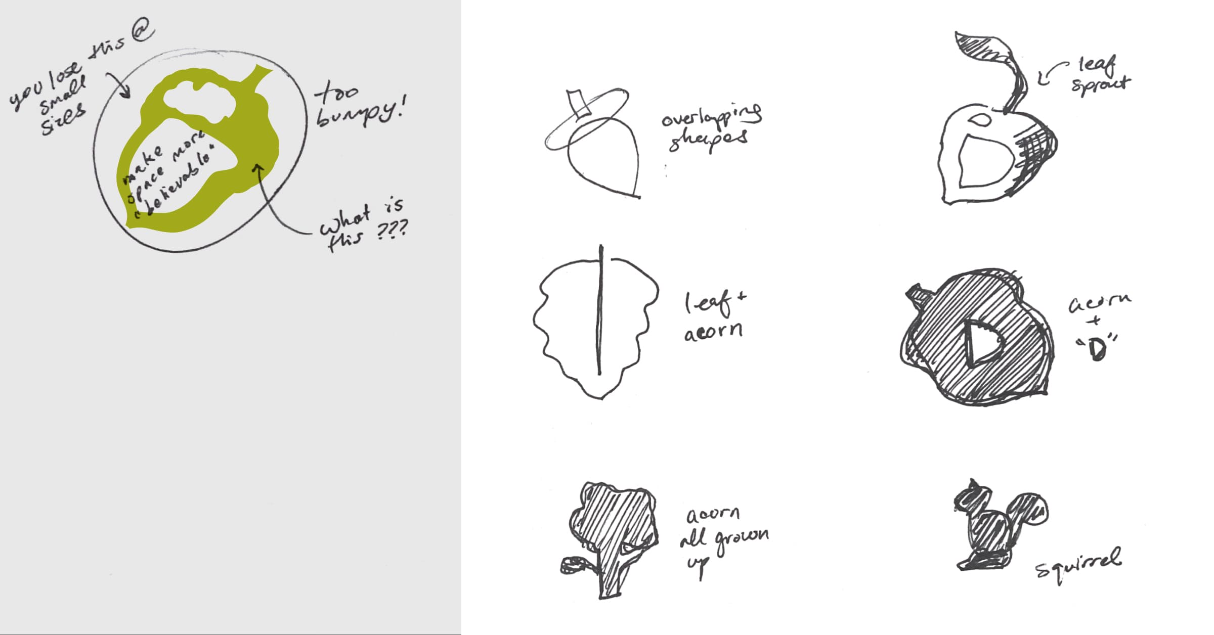 William – Doe-Anderson Rebrand
