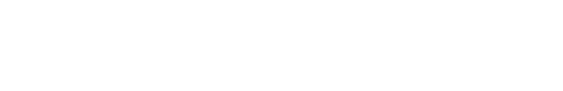 Digital Securities Depositary Corporation | About Us