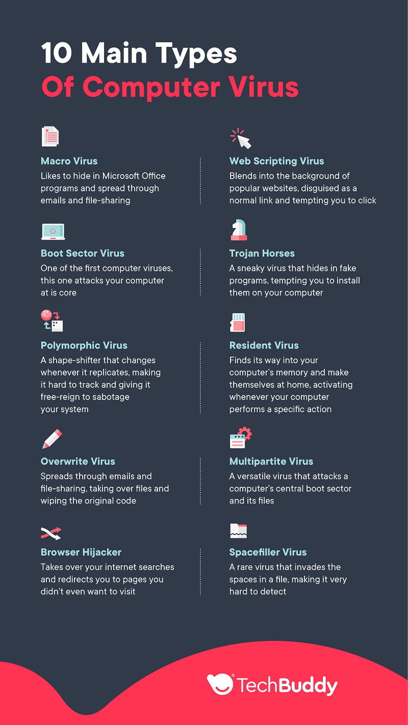 The 10 Main Types Of Computer Virus And How To Avoid Them BuddyCompany