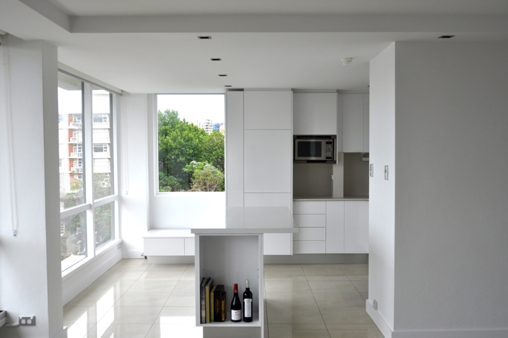 Kitchen Renovations | Elev8 Design & Development Sydney2