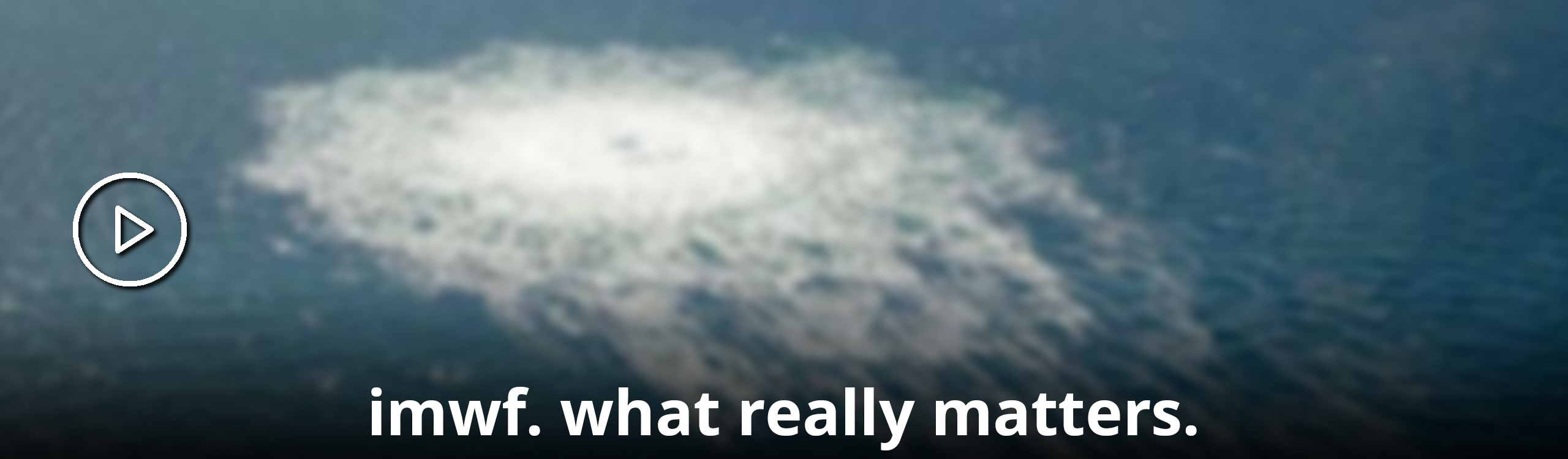 IMWF Institut für Management- und Wirtschaftsforschung