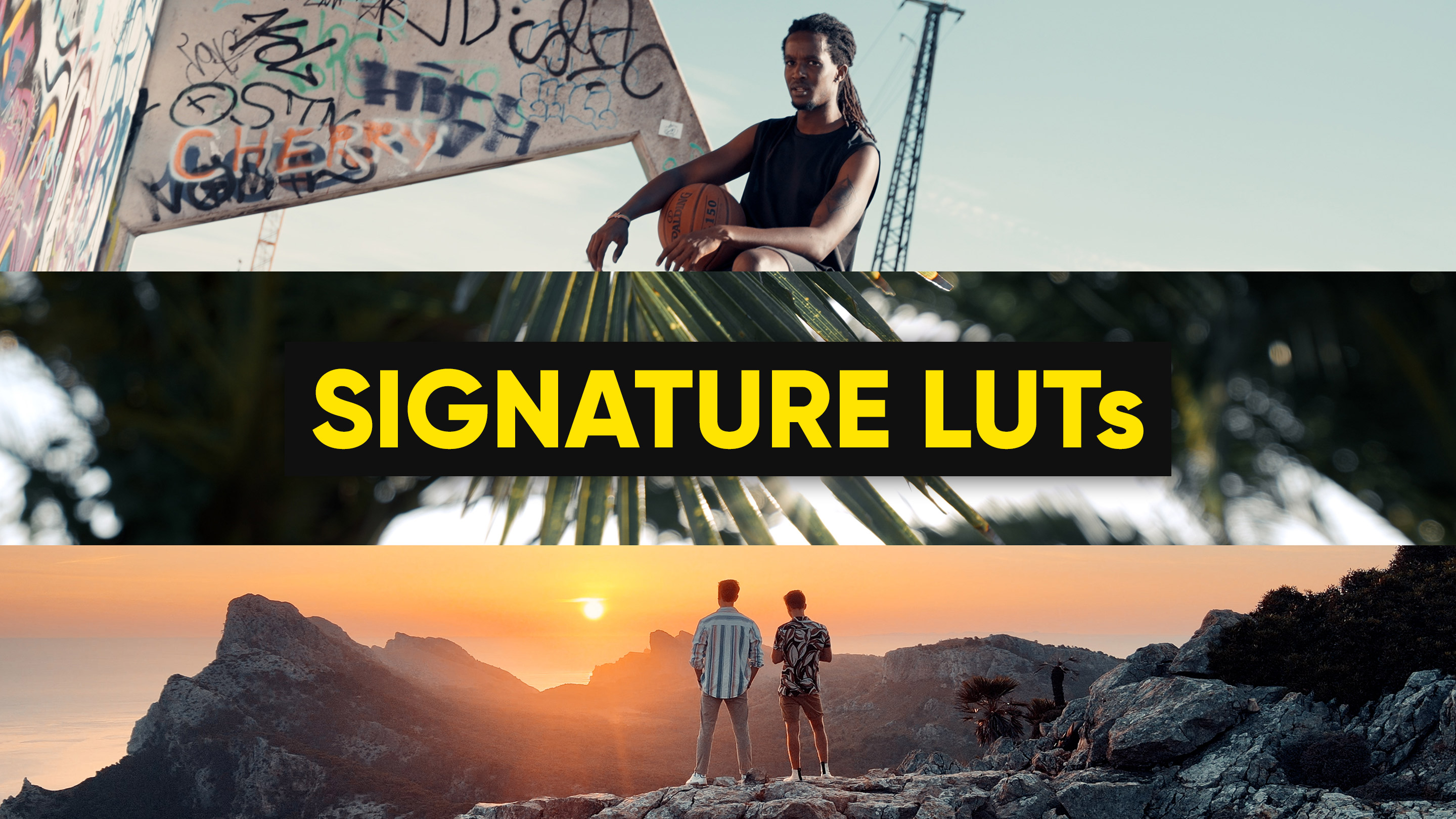 Signature-LUTs