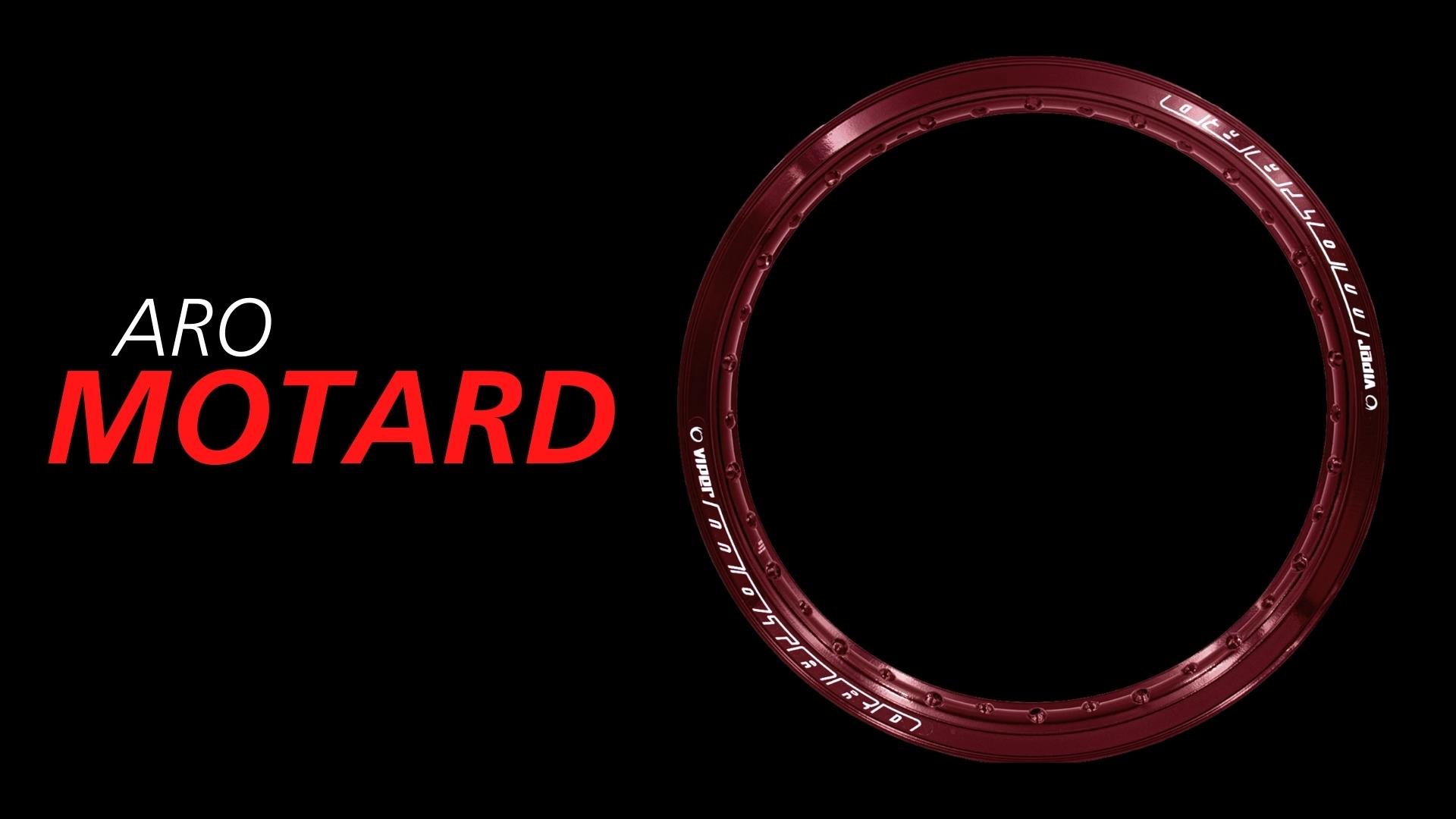 Quais tipos de aros para moto a Viper fabrica?