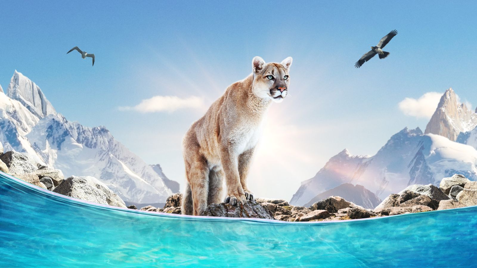 Legion Creative - An Integrated Agency