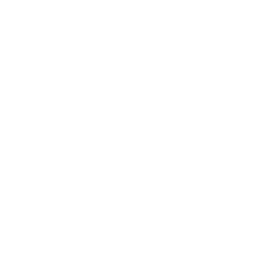 Lightspeed Connect: More Than Just VoIP