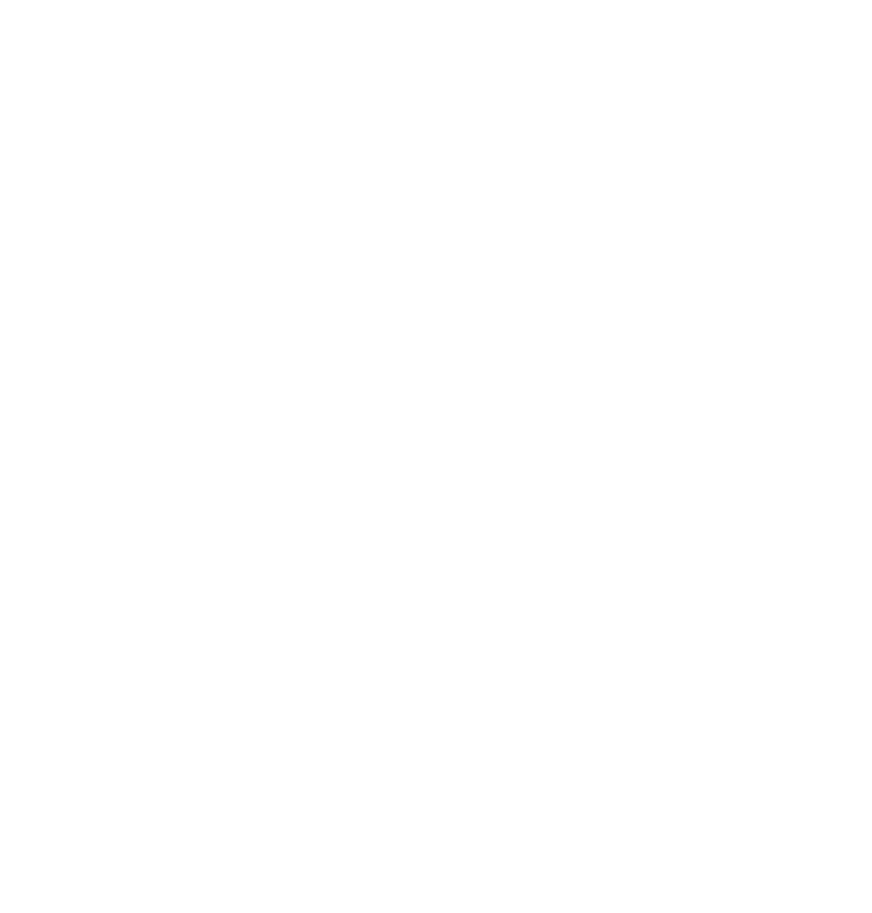 Lightspeed Connect: More Than Just VoIP