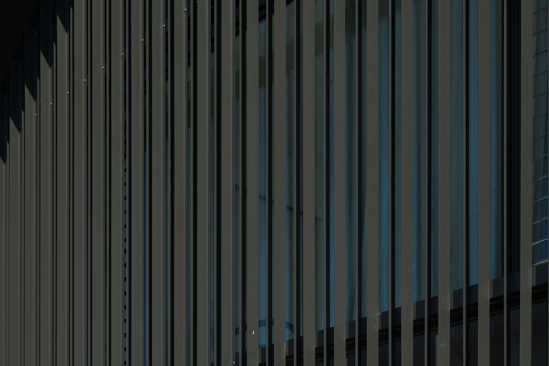 Eleanor - Projects | ata Studio | Mt Maunganui