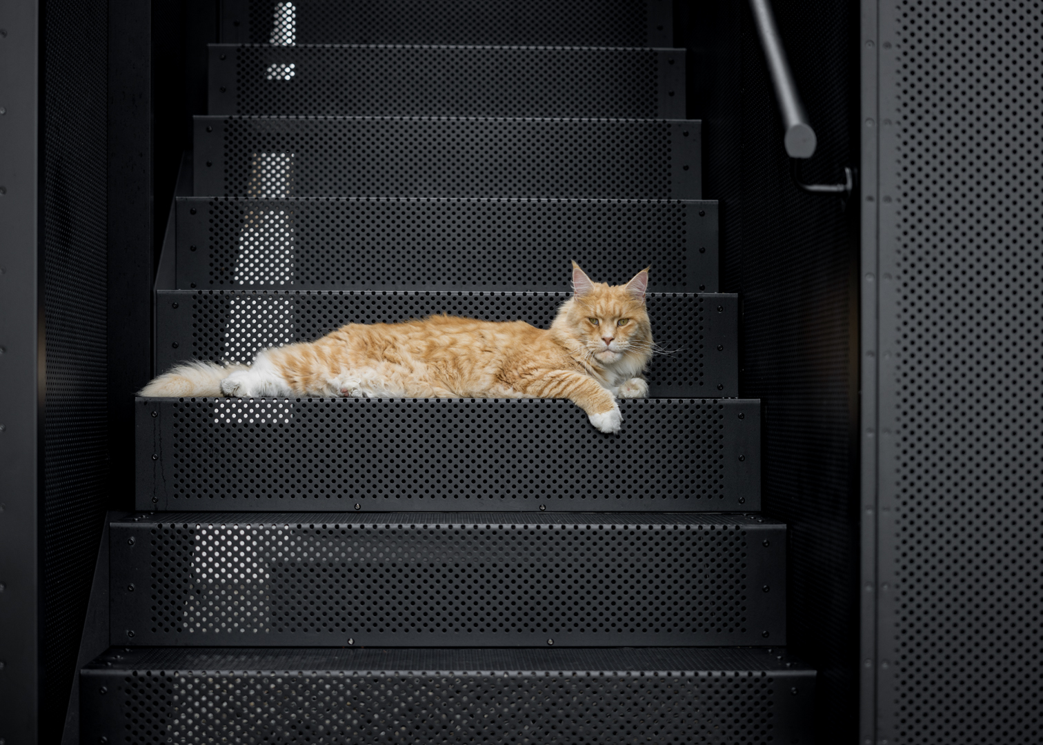 Studio | ata | Adam Taylor ARCHITECTURE | Tauranga | Mt Maunganui