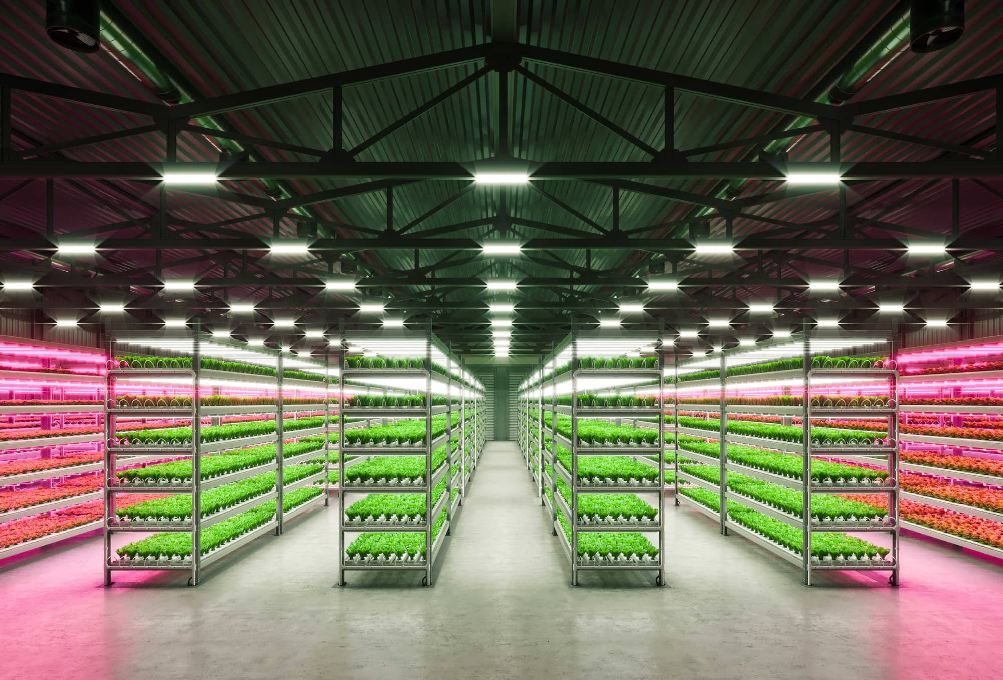 Future Farms | Building Tomorrow's Farms