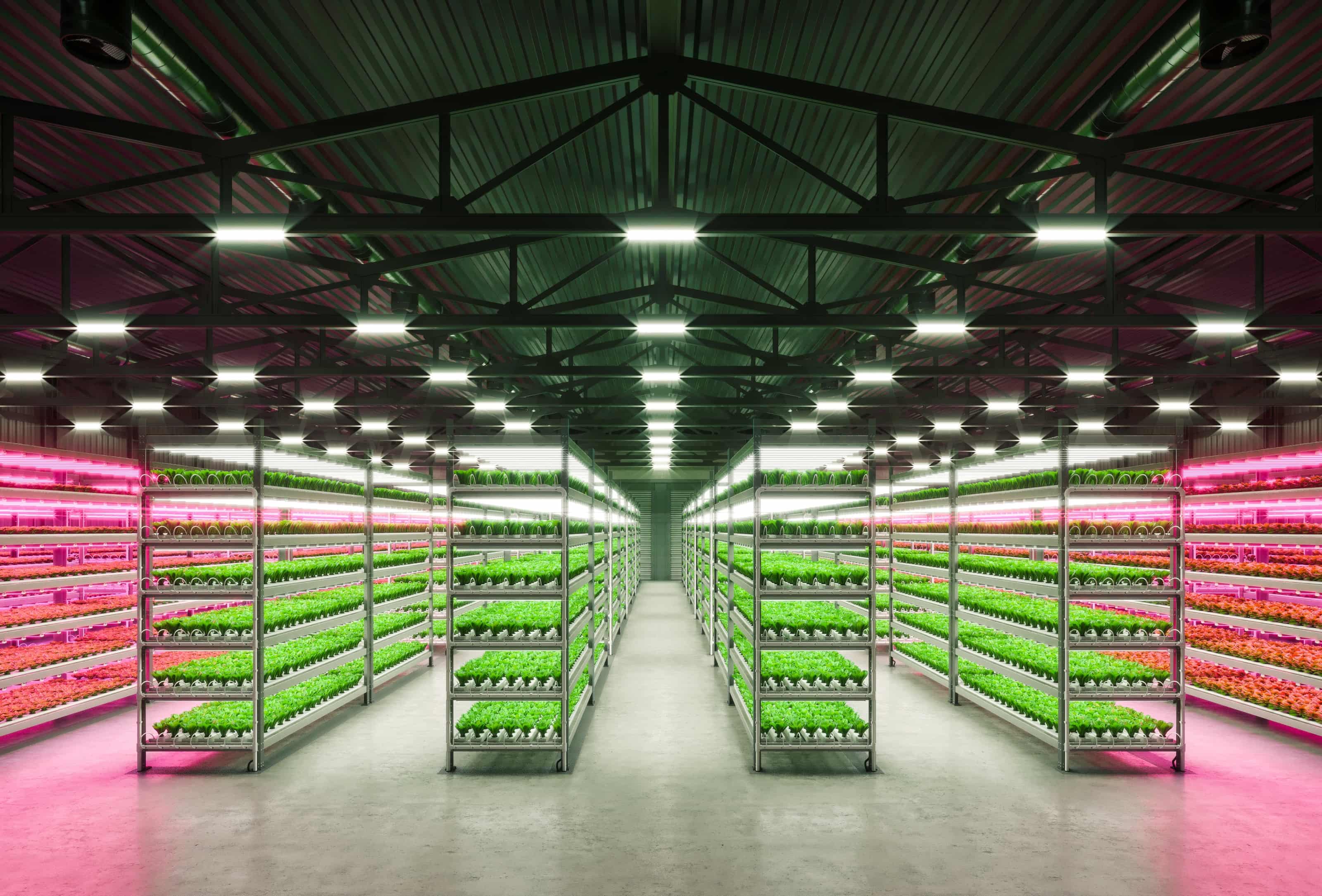 Future Farms | Building Tomorrow's Farms