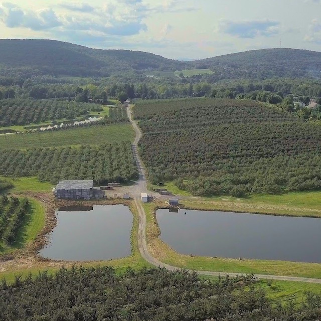 Apple Chips | Hudson River Fruit Distributors