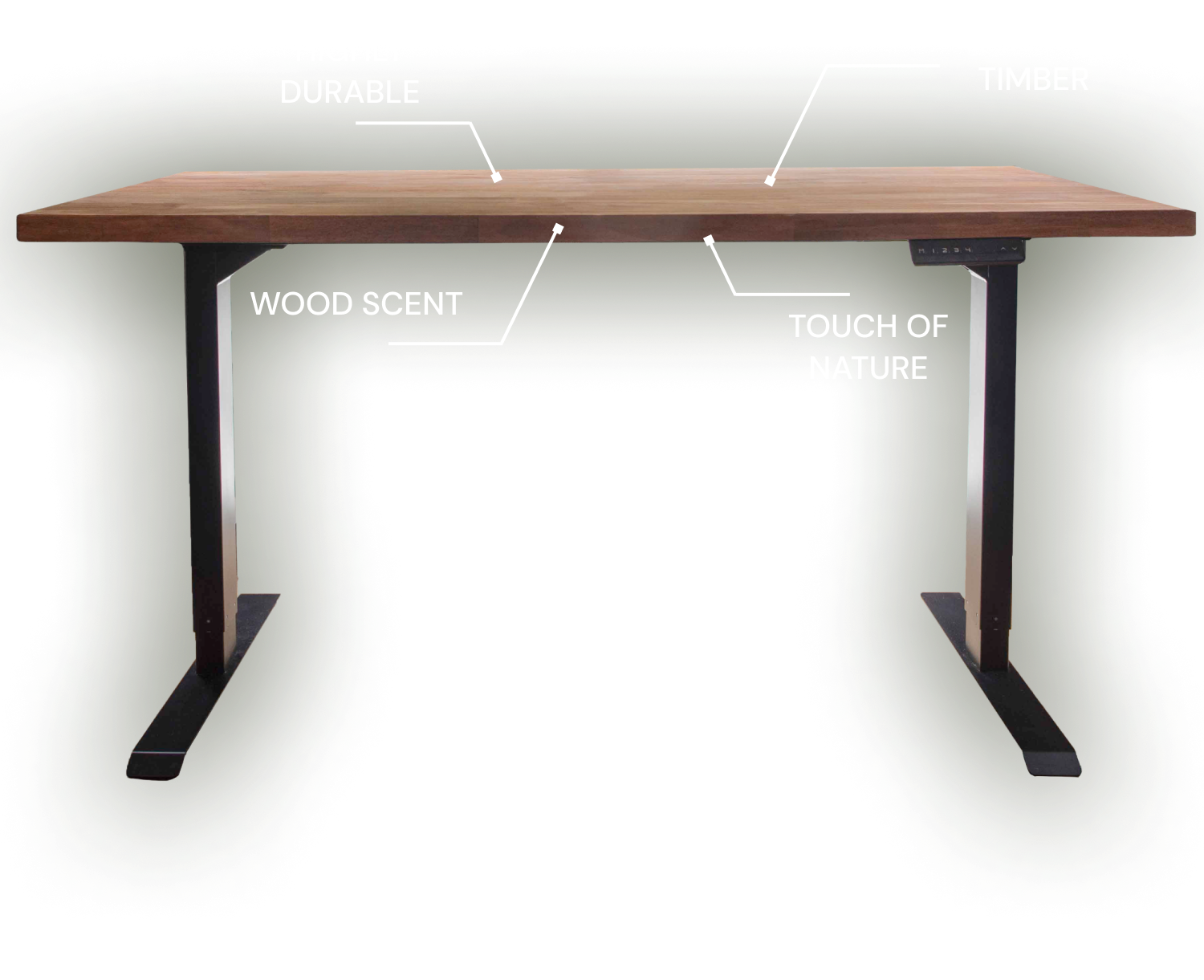 Balak's Malaysia Ultimate Ergonomic Comfort Timber Table