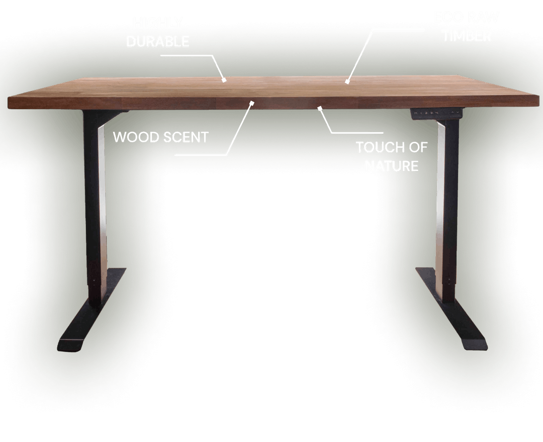Balak's Malaysia Ultimate Ergonomic Comfort Timber Table