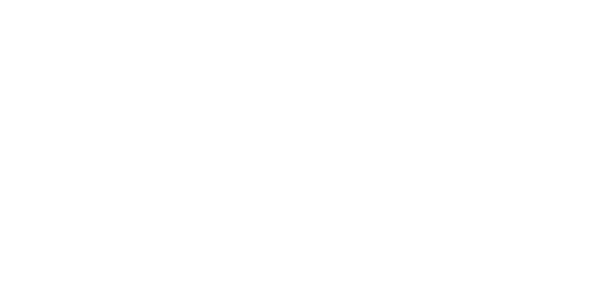 Net Zero Initiative