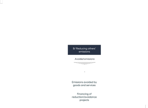 The Net Zero Initiative Framework