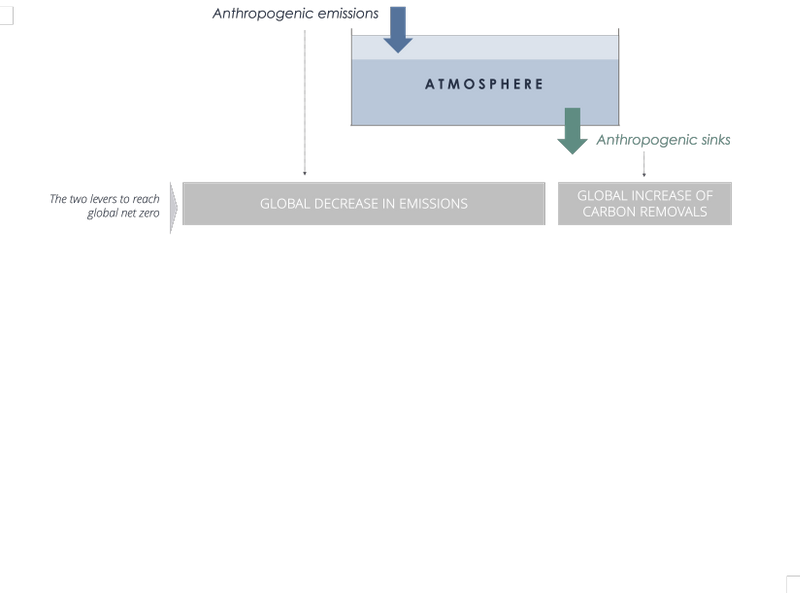 The Net Zero Initiative Framework