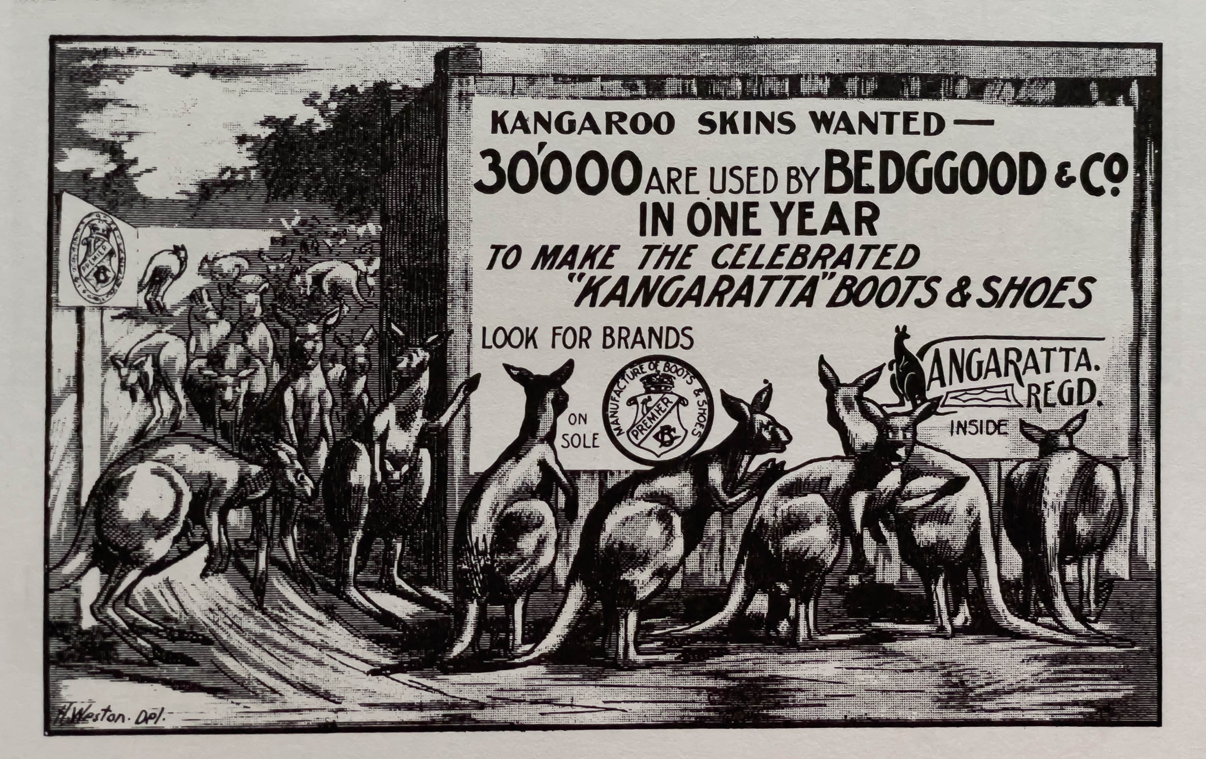 2023 Commercial exploitation of Kangaroos in Victoria