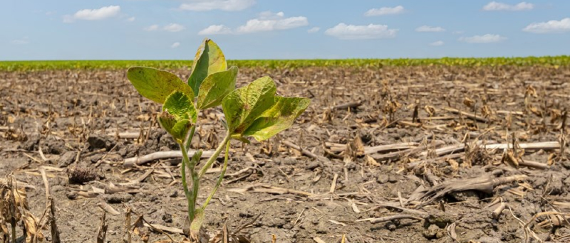 Climate change and food insecurity: what can philanthropy do ...