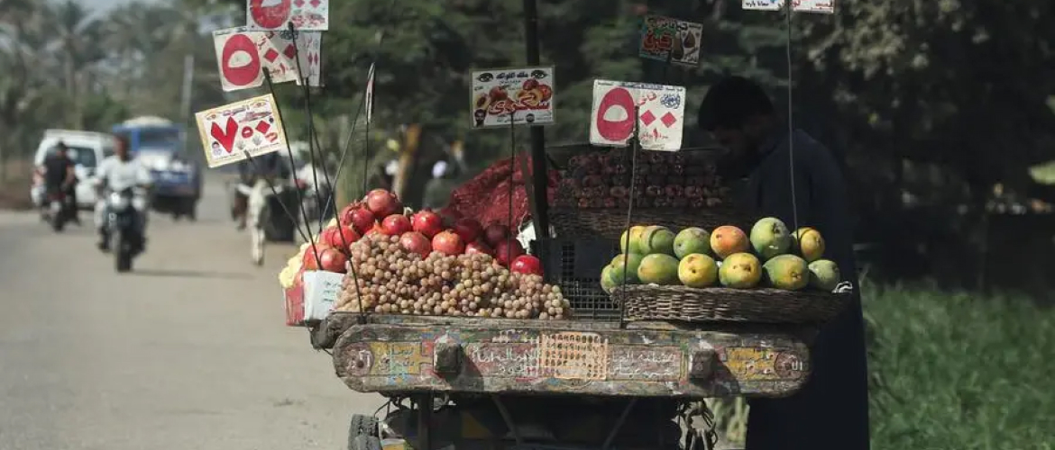 Egypt: CBE, Planning Ministry collaborate on financial inclusion for ...