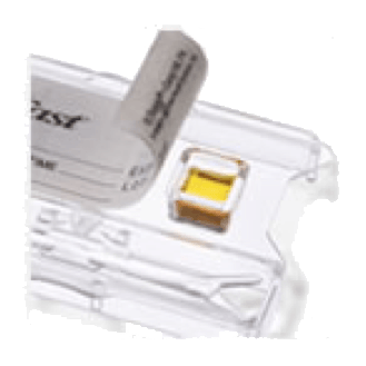 H.Pylori Test Kits | Gastroenterology