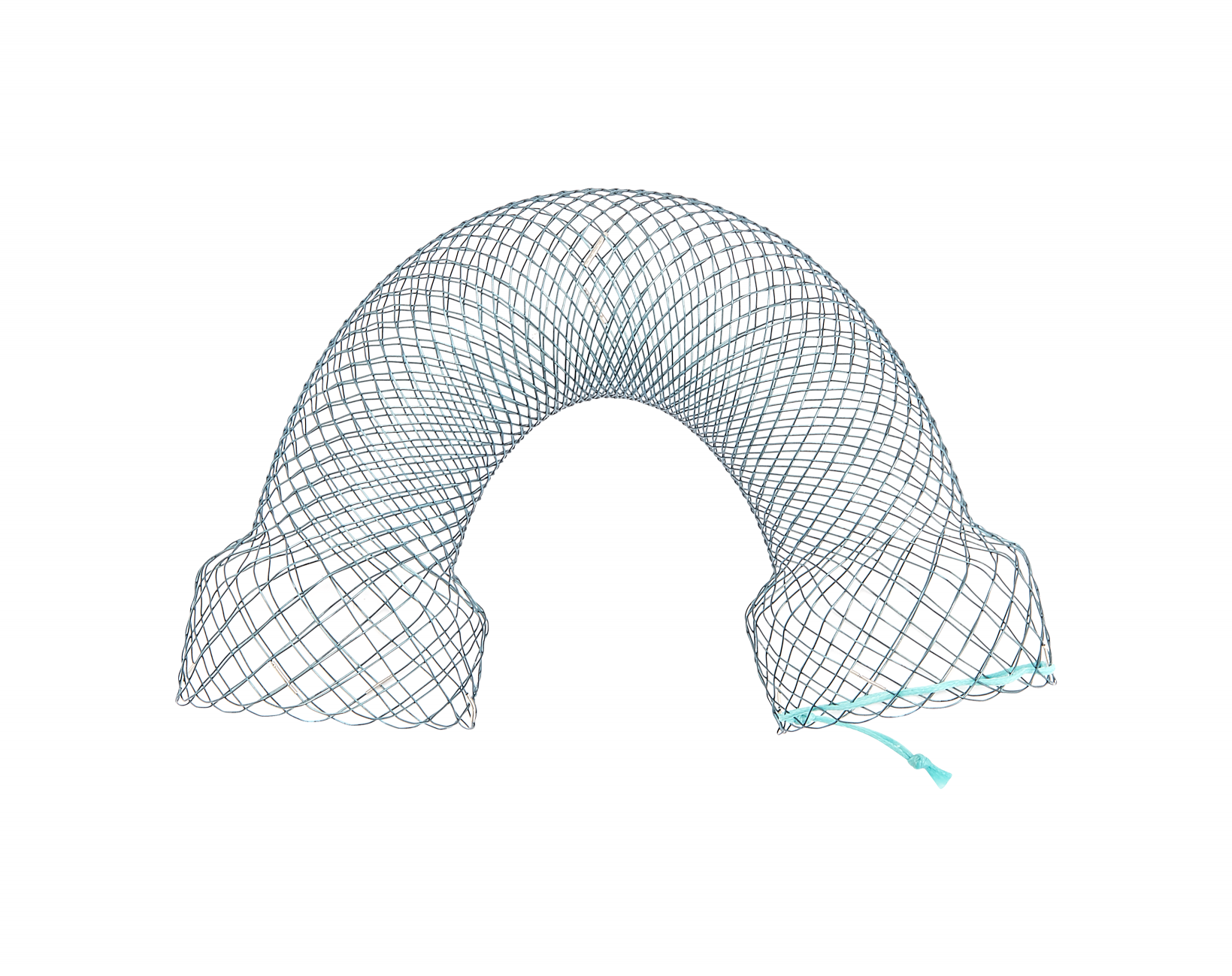 Esophageal Stents | Gastroenterology