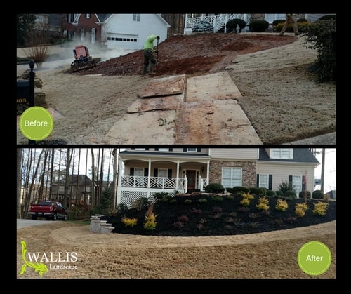 Before & After
