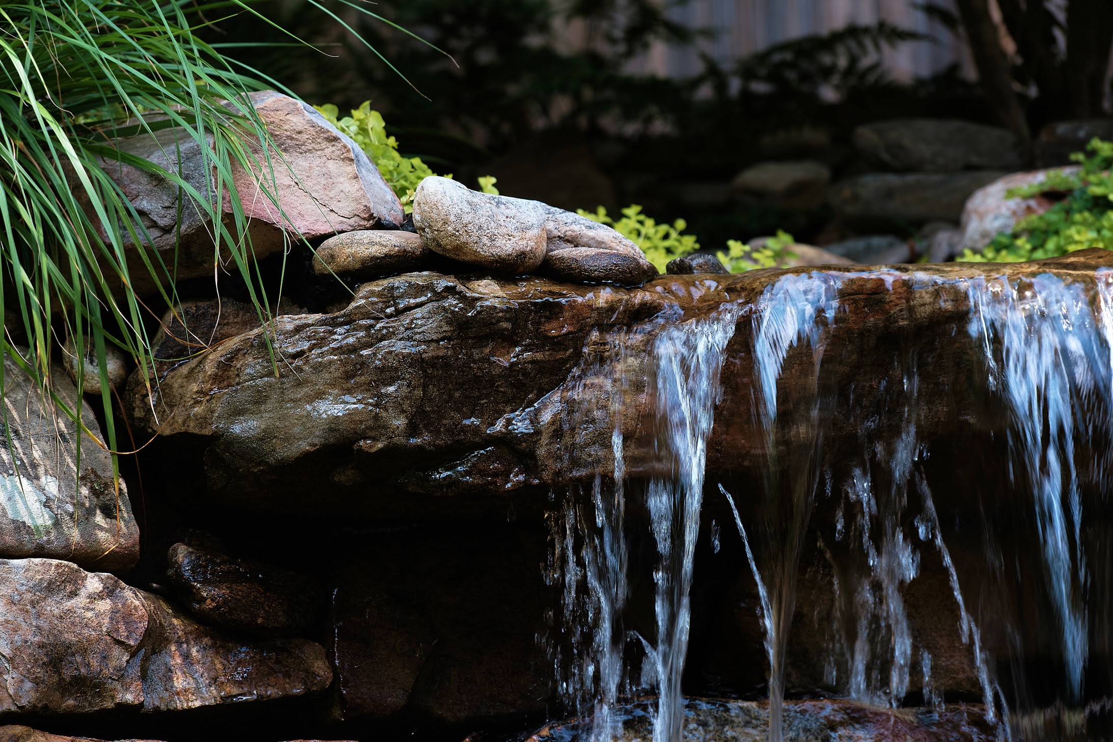 About | Reedy River Landscapes